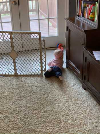 Learning To Crawl - Mama Bear University