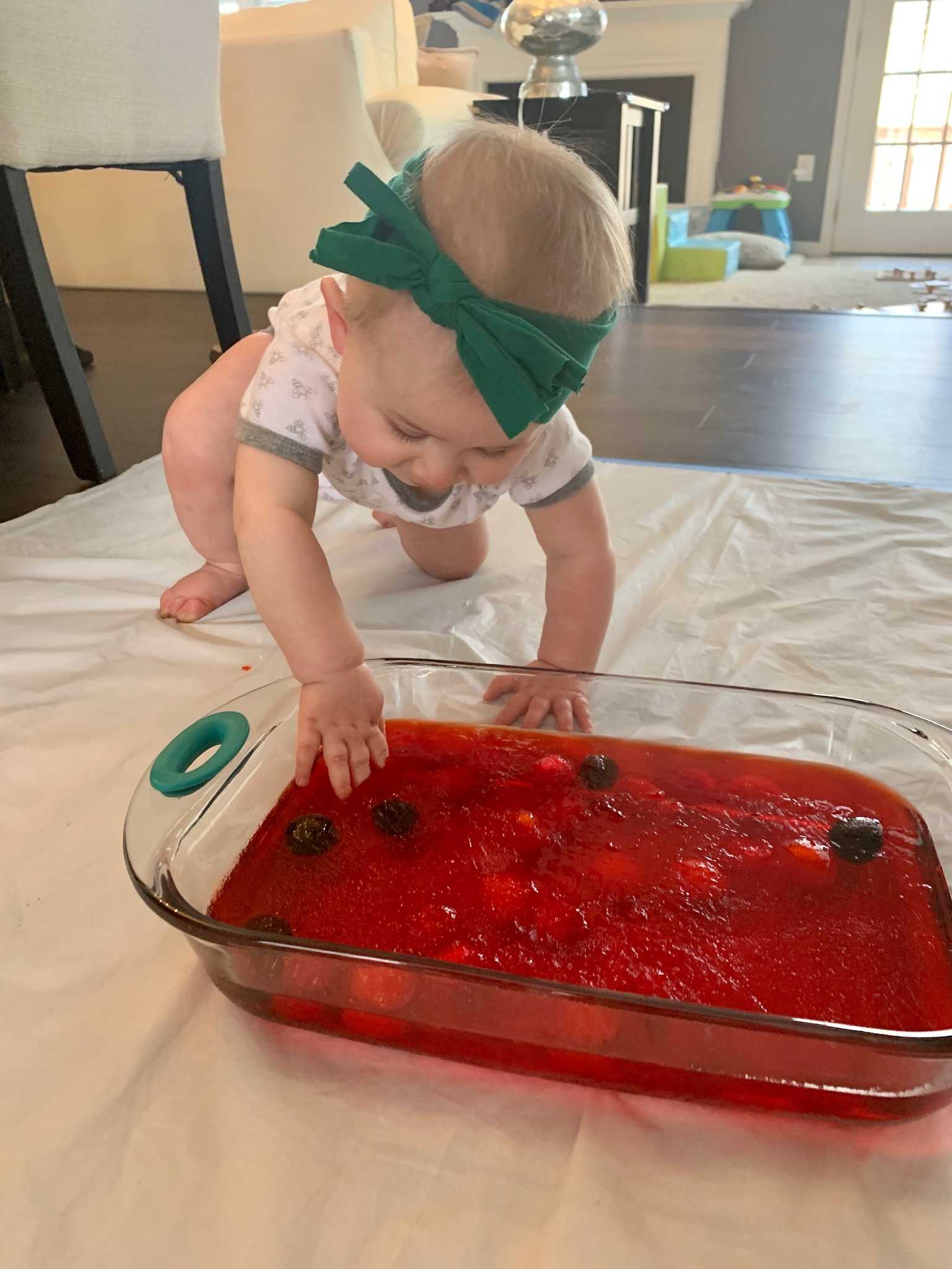 Gelatin Sensory Tray Mama Bear University gelatin-sensory-tray-mama-bear-university