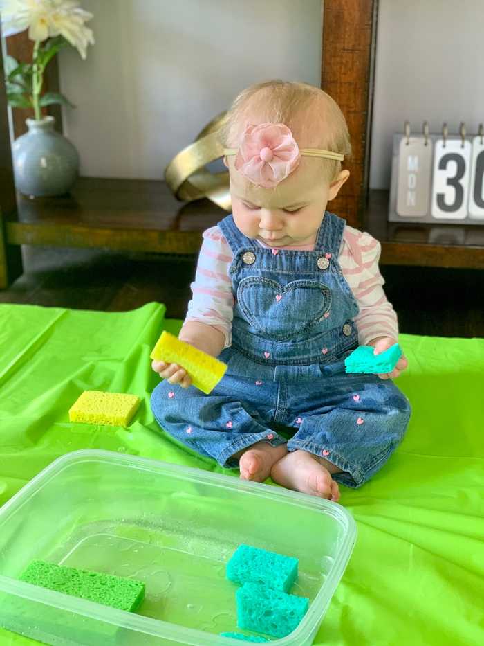 Sponge Play - Mama Bear University