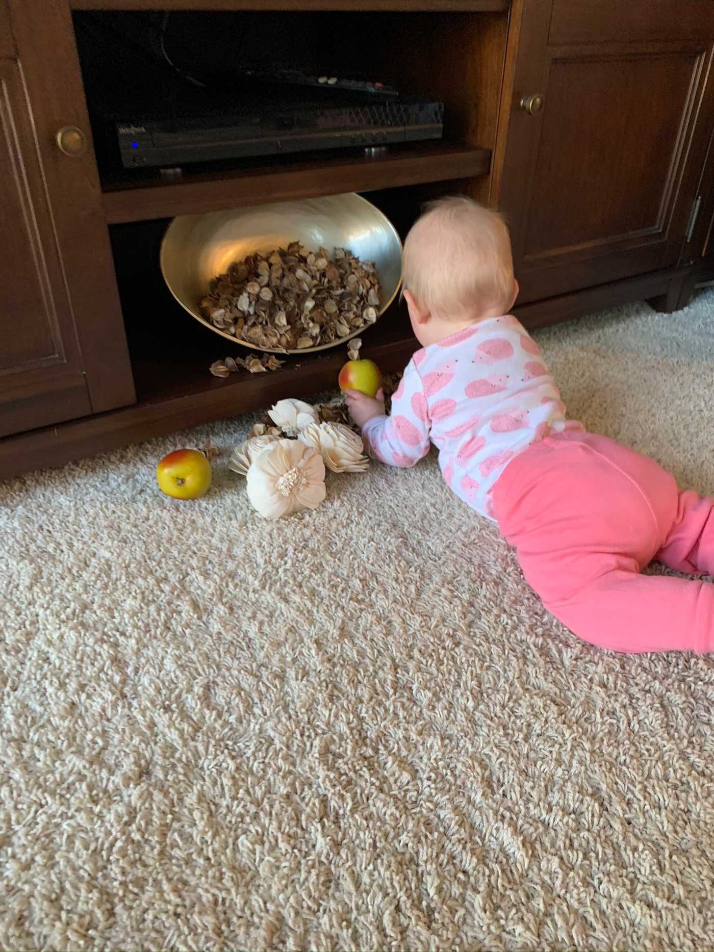 Learning To Crawl - Mama Bear University